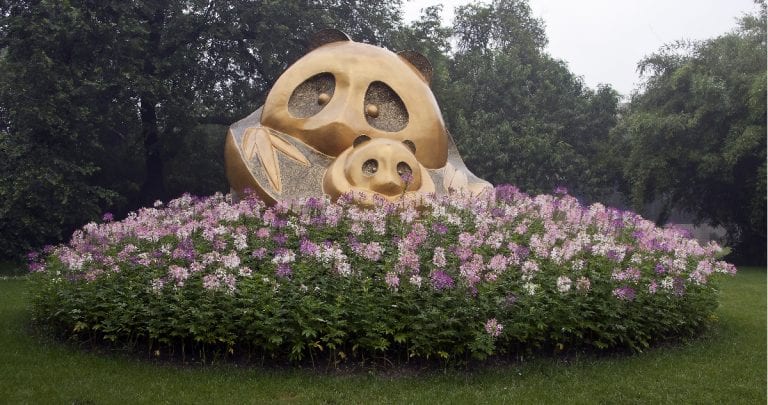 Panda Things | The Best Panda Charities and Conservation Groups